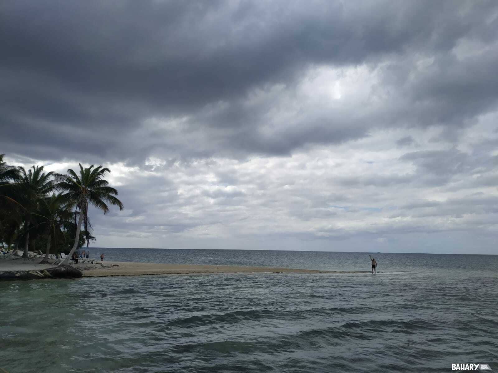 Cayo Blanco - Descubre el cayo de Cuba con más iguanas en su interior