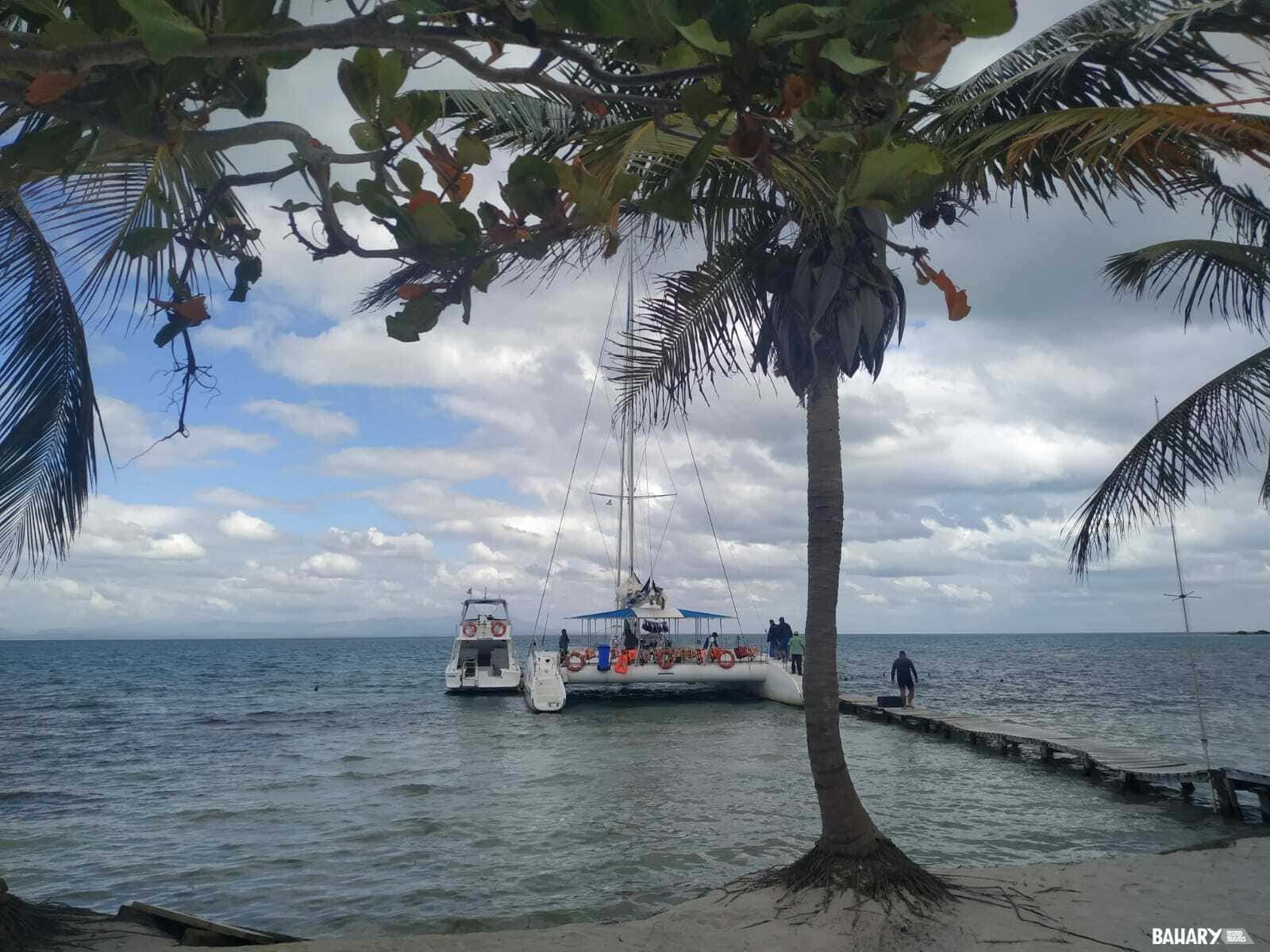 Cayo Blanco - Descubre el cayo de Cuba con más iguanas en su interior